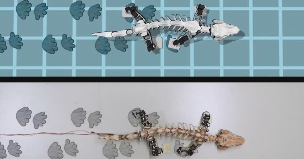 Prähistorisches Tier als Roboter - computerworld.ch