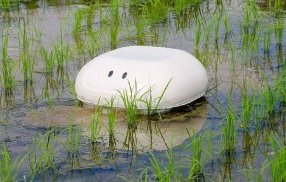 Roboter-Ente im Einsatz für die Landwirtschaft - computerworld.ch