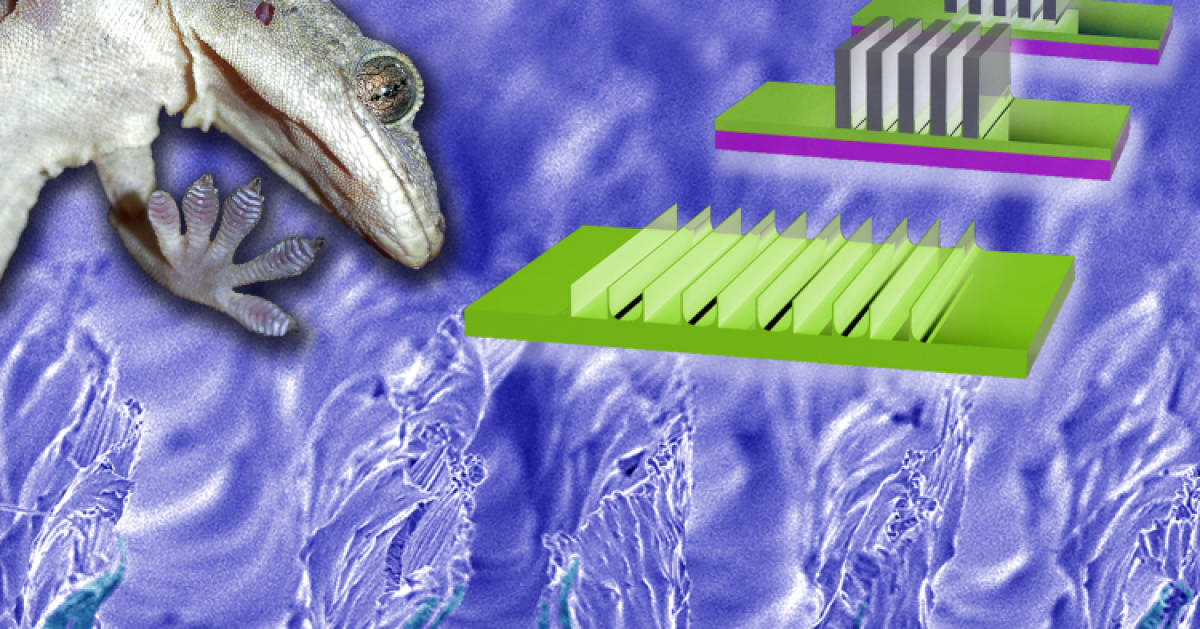 Roboter-Greifer nach Gecko-Vorbild wird billiger - computerworld.ch