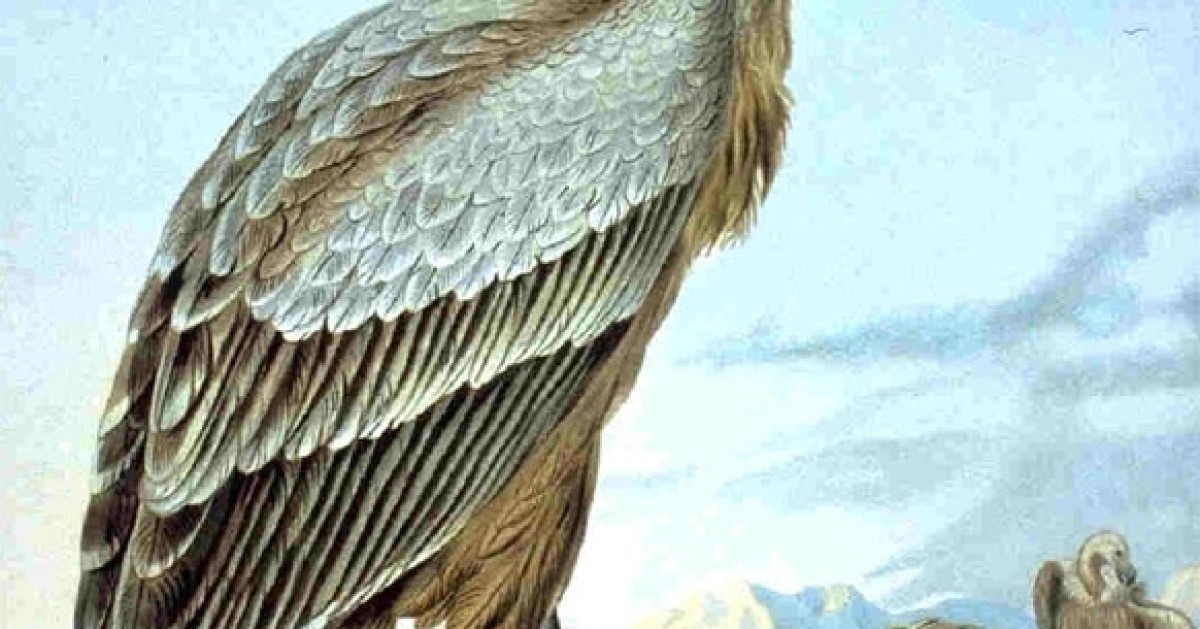 Der Pleitegeier kreist über Bearingpoint USA - computerworld.ch