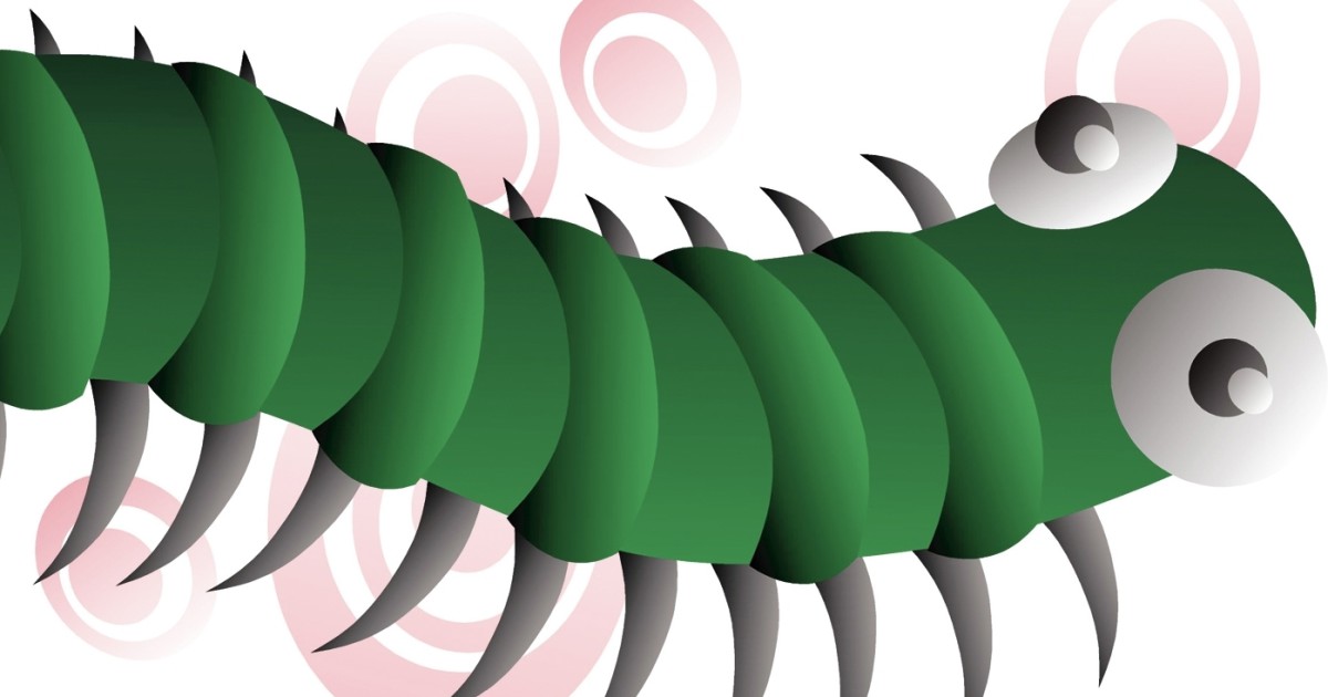 Storm-Worm feiert Comeback - computerworld.ch