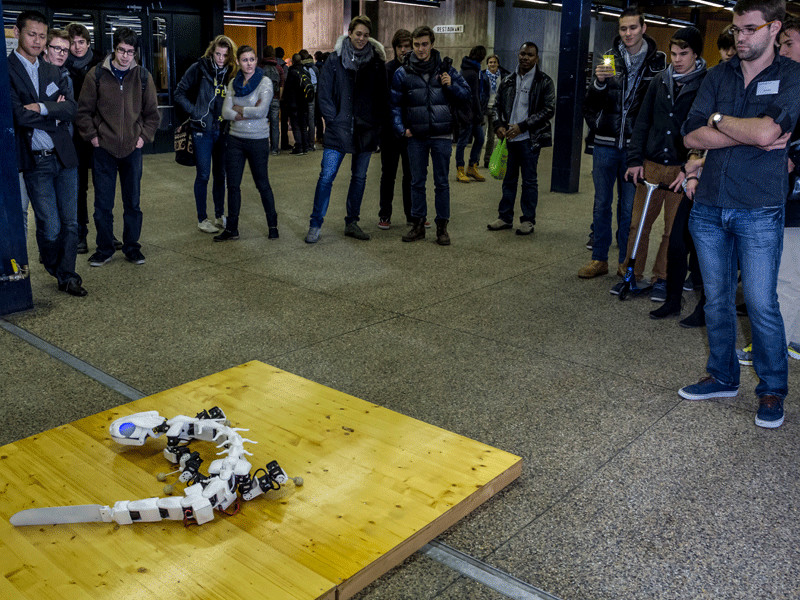 EPFL-Salamander-Roboter hilft bei Erforschung von Bewegung ...