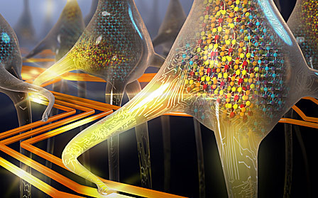 Zürcher IBM-Forscher imitieren erstmals Neuronen - computerworld.ch