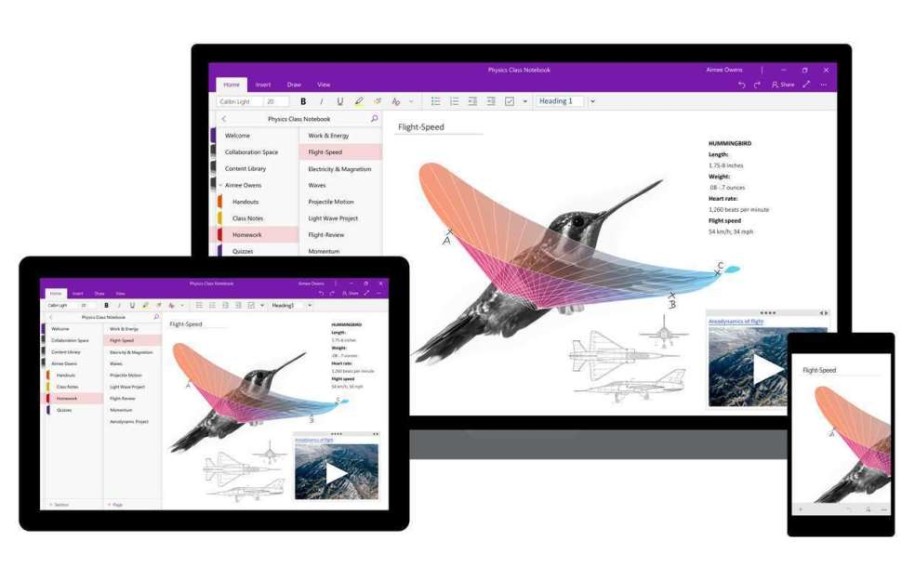 Microsoft wirft OneNote aus Office 2019 - computerworld.ch